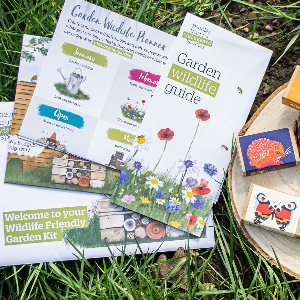 Wildlife Friendly Gardeners Guide and Starter Kit - PTES