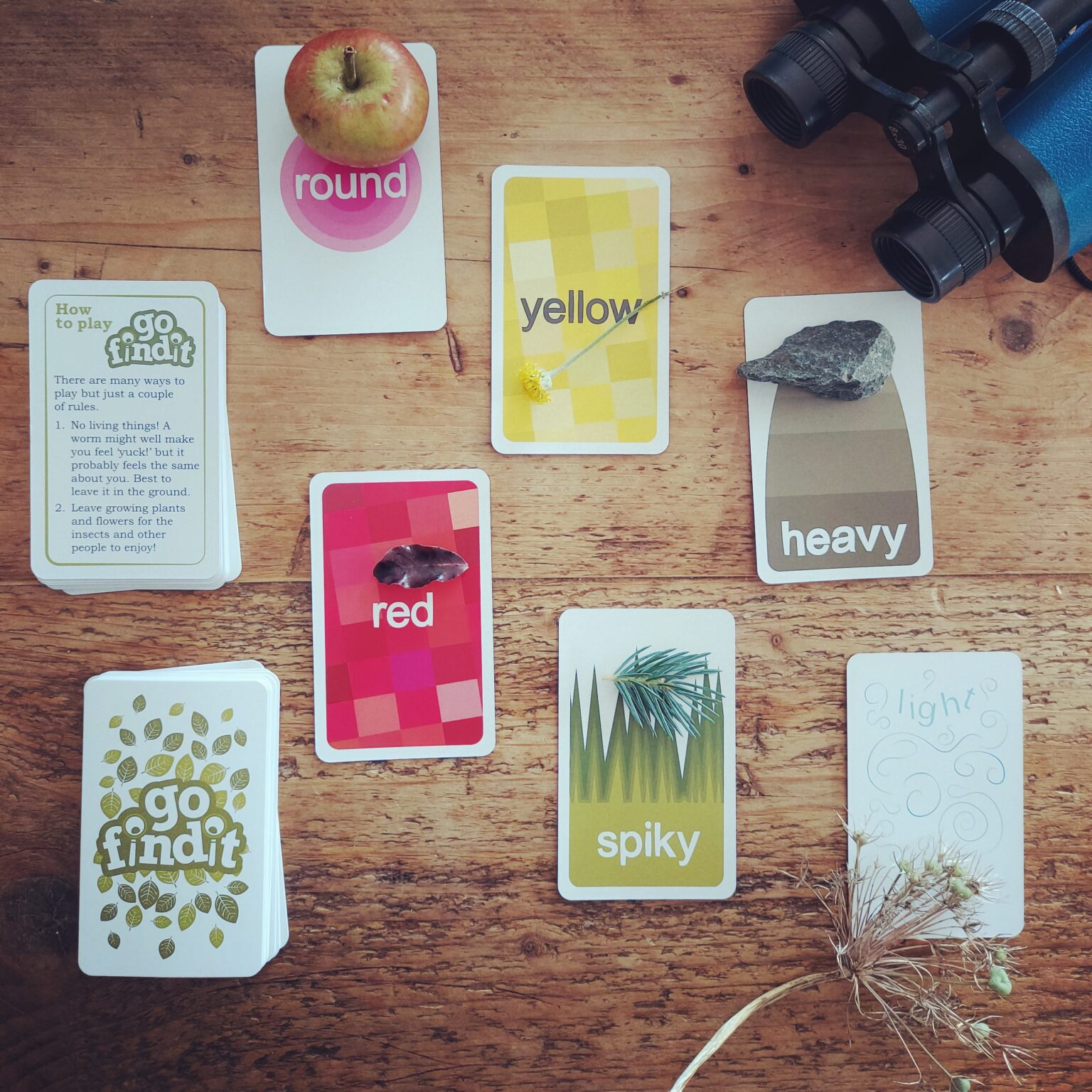 gofindit Playing Cards - People's Trust for Endangered Species