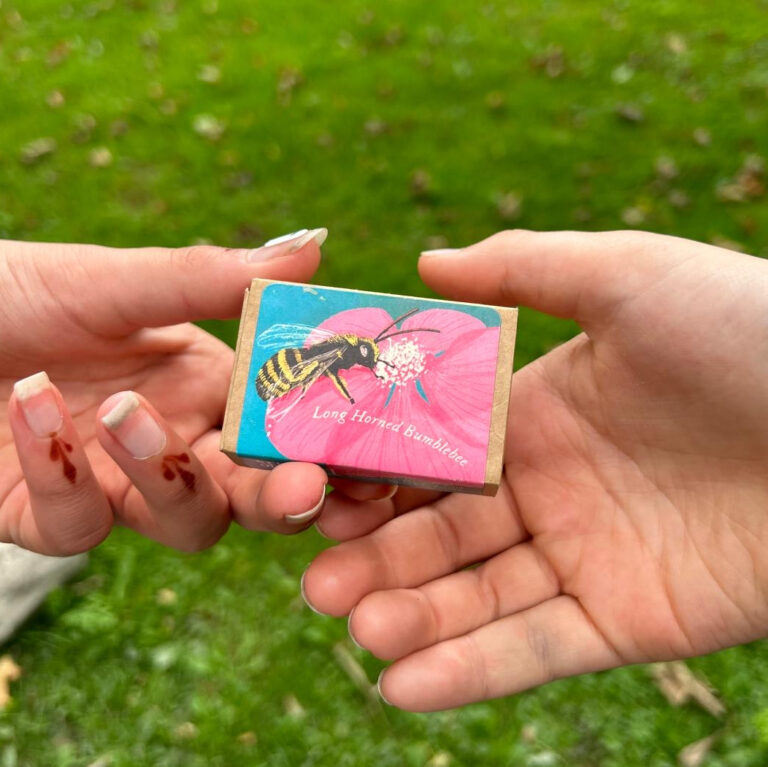 Flowers for Bees Collection Seed Boxes - People's Trust for Endangered ...