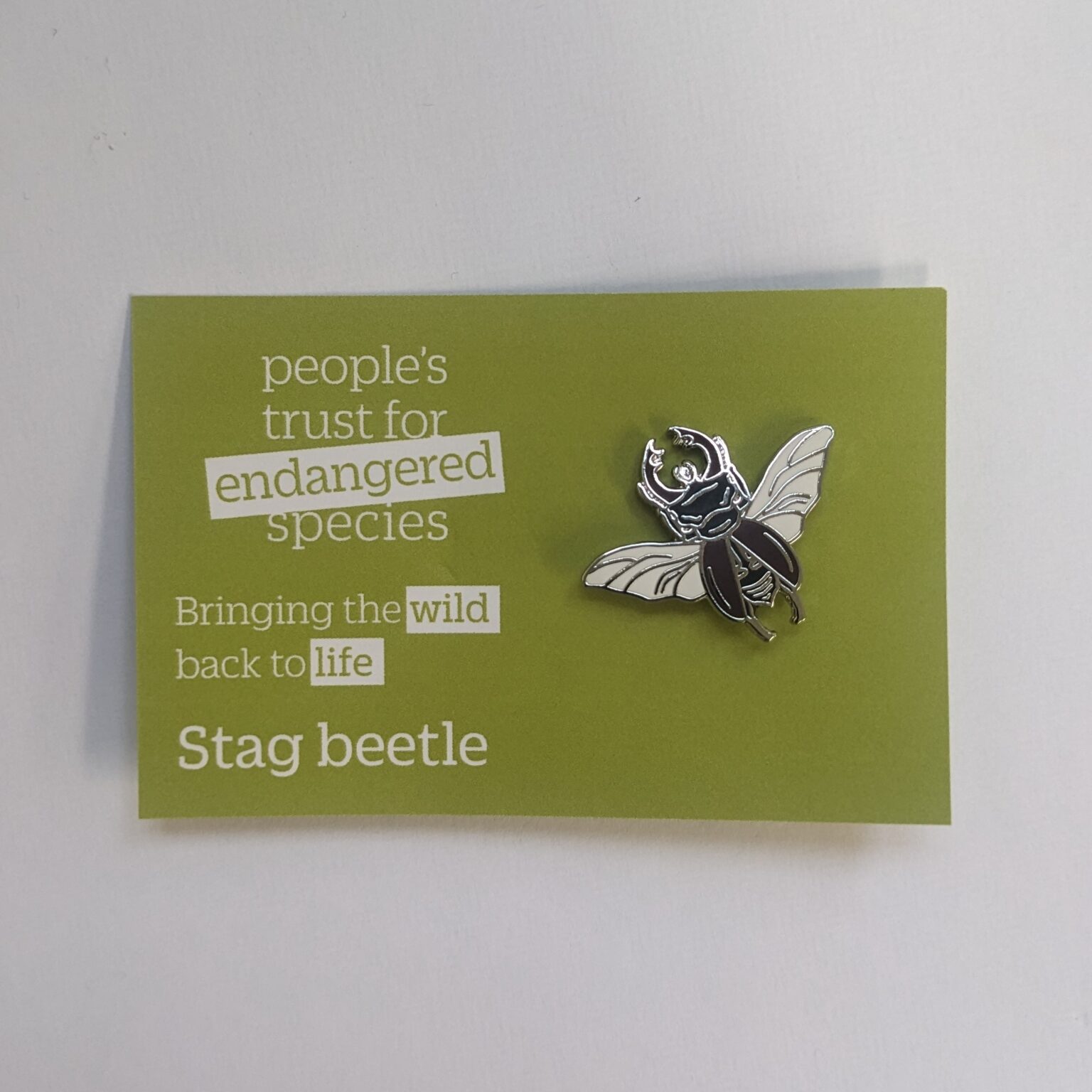PTES Stag Beetle Pin Badge - People's Trust For Endangered Species Shop